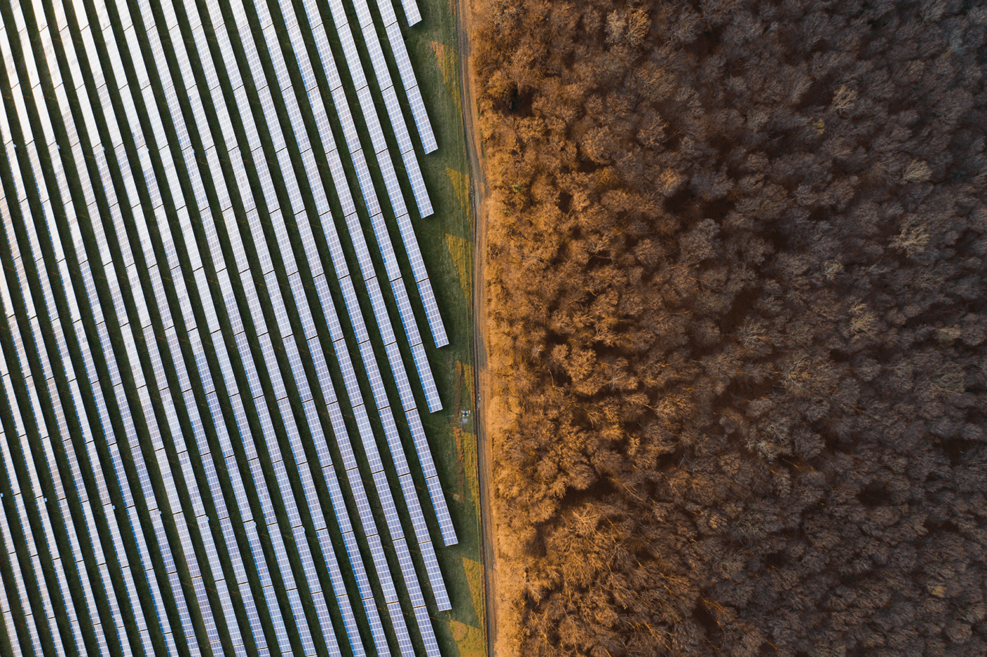 Solar energy jobs in UK & Ireland with Metlen | Taylor Hopkinson